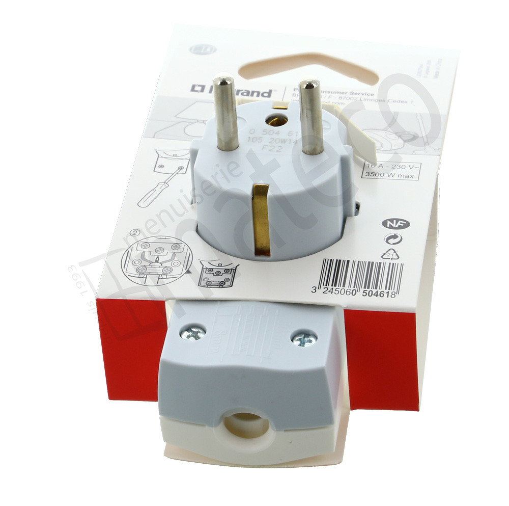 Fiche double fonction 250 V avec prise 2P